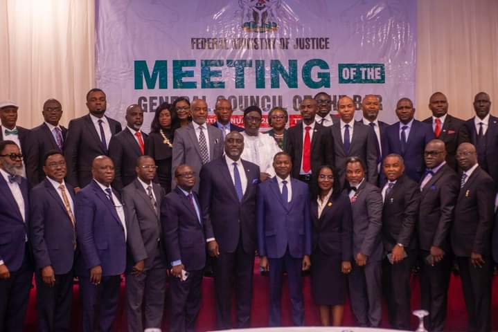 LEST NIGERIAN LAWYERS 'BECOME AN ENDANGERED SPECIE', NBA BLOCKS 15-YEAR ...