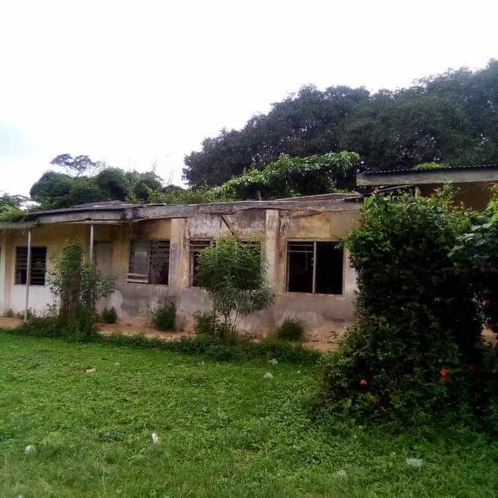 Urohi Community, Abandoned By Edo Government - Trek AfricaTrek Africa